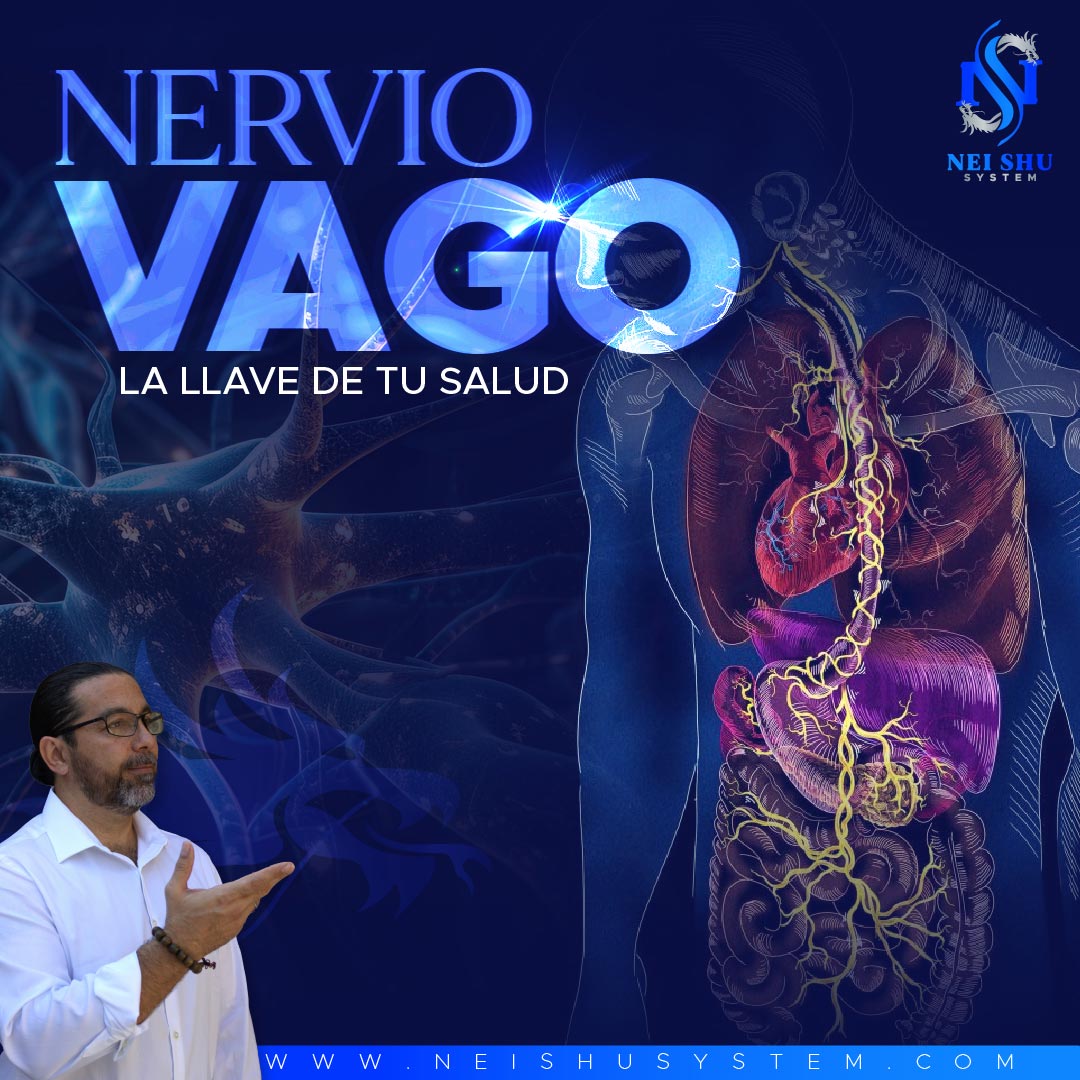 Nervio Vago: activa el poder natural de tu cuerpo – Nei Shu System